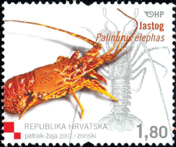 Matica hrvatska - Vijenac 341 - Morski rakovi