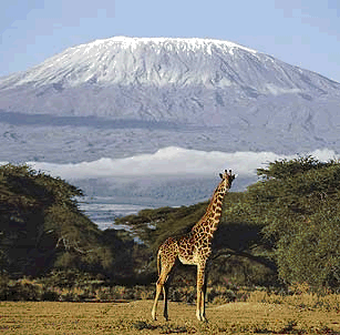 Ogranak Matice hrvatske u Križevcima - zbivanja - Znanstvena tribina ...